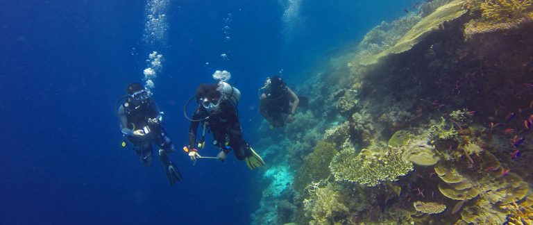 Marine-Conservation-Thailand | Global Nomadic