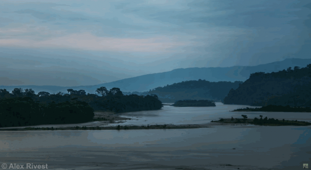 jungle-gif | Global Nomadic