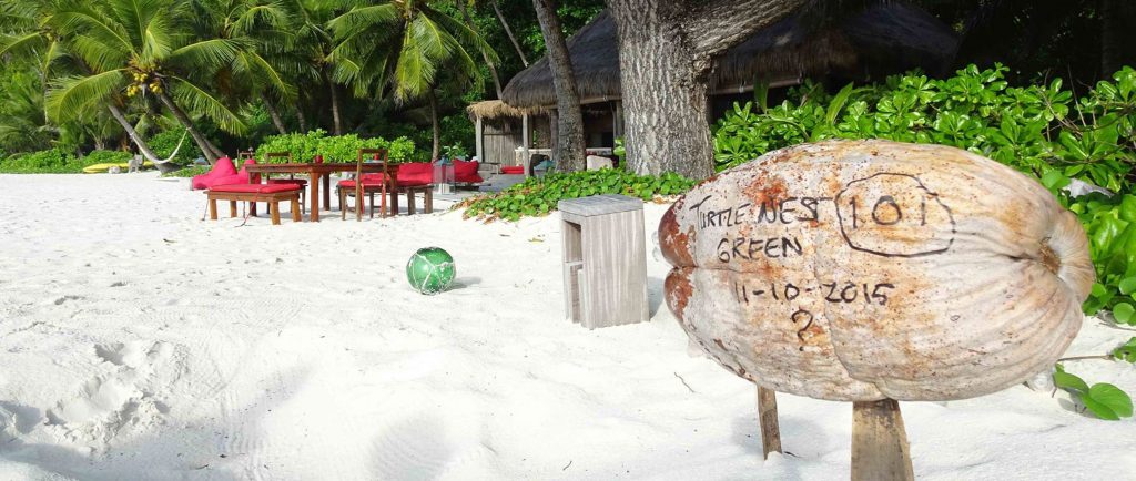 seychelles-turtle-project | Global Nomadic