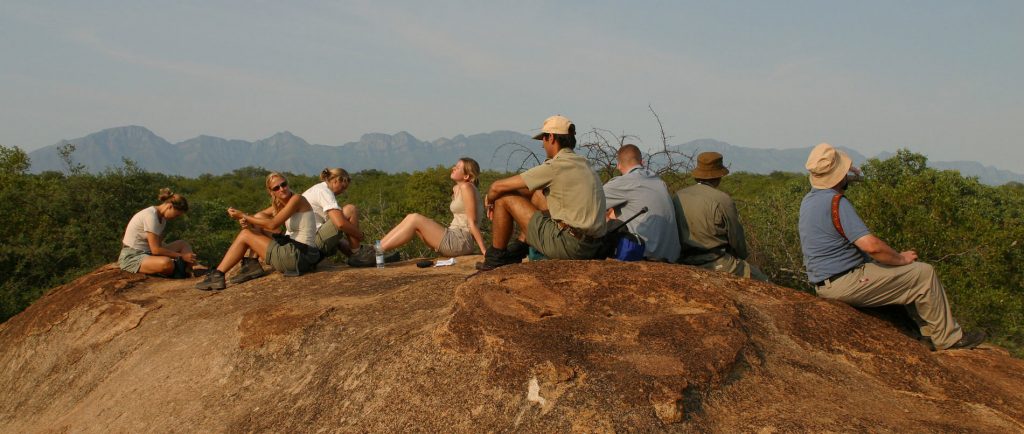 Scientific-Research-project-in-south-africa-cover | Global Nomadic