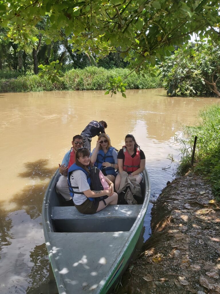 turtle project (1) | Global Nomadic