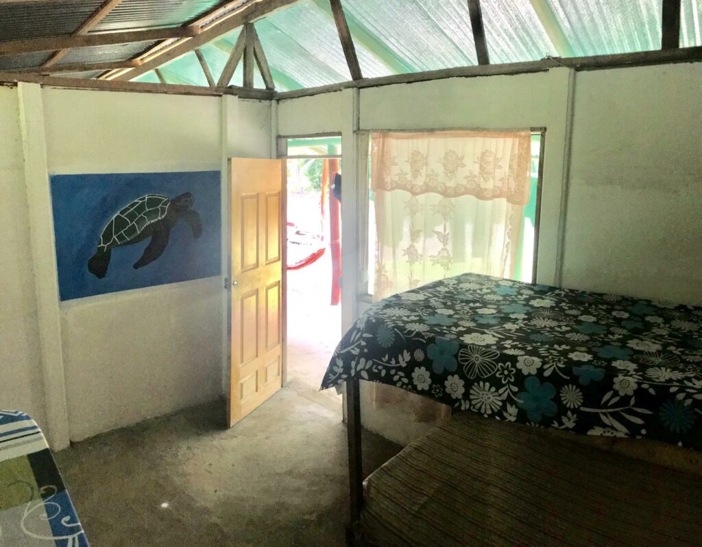 turtle project (5) | Global Nomadic