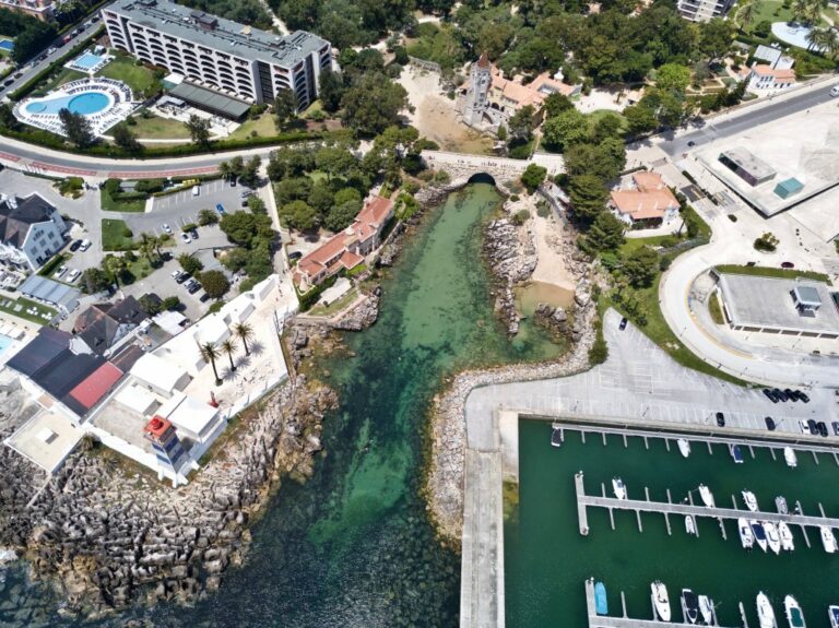 LISBON DIVING | Global Nomadic