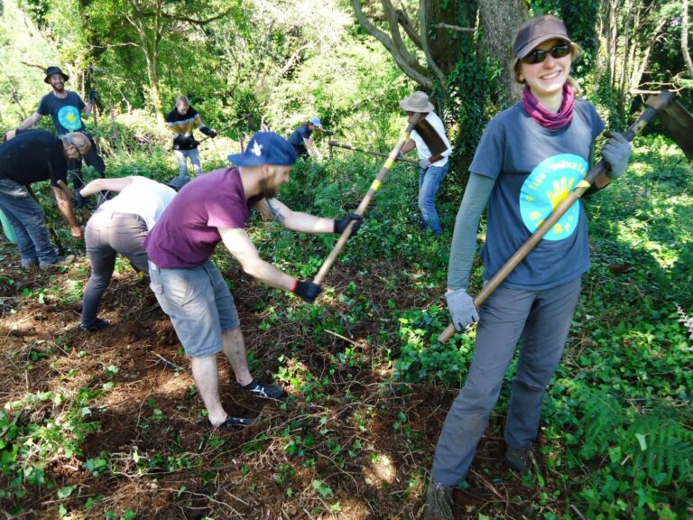 Lisbon forest | Global Nomadic