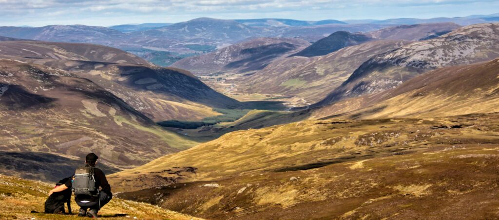 Scotland: Husky Ranch & Wilderness Adventure Volunteer | Global Nomadic